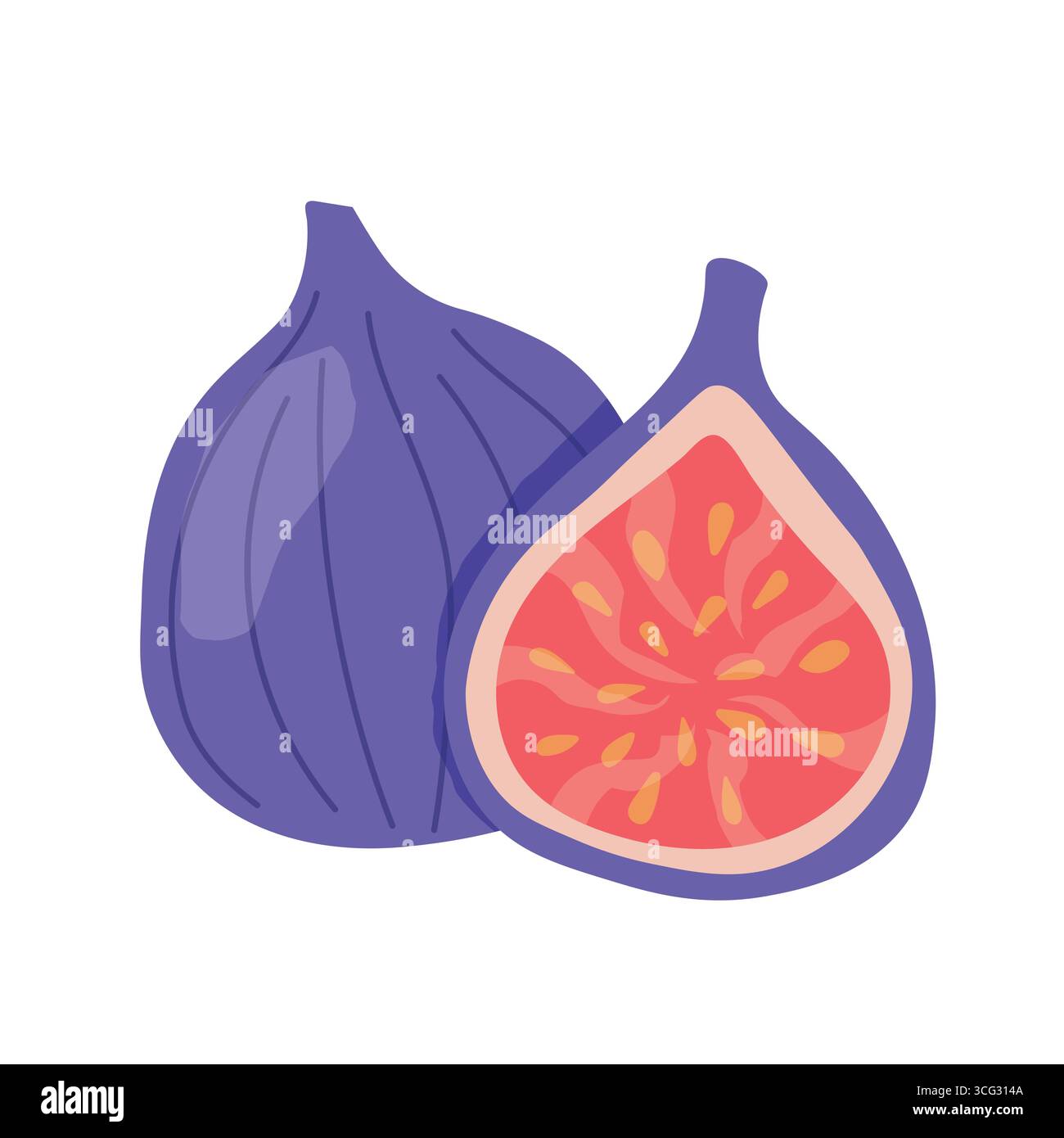 Fresh fig fruit foliage Stock Vector Images - Alamy