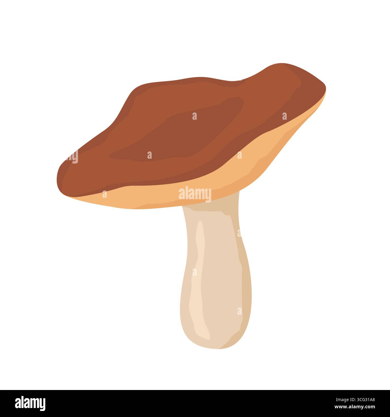 Edible woodland mushroom Stock Vector Images - Alamy