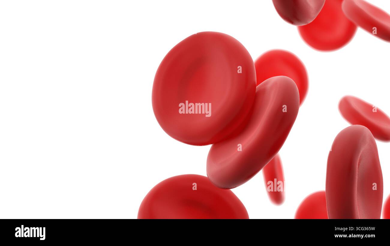 Red blood cells isolated on white background. 3d illustration Stock ...
