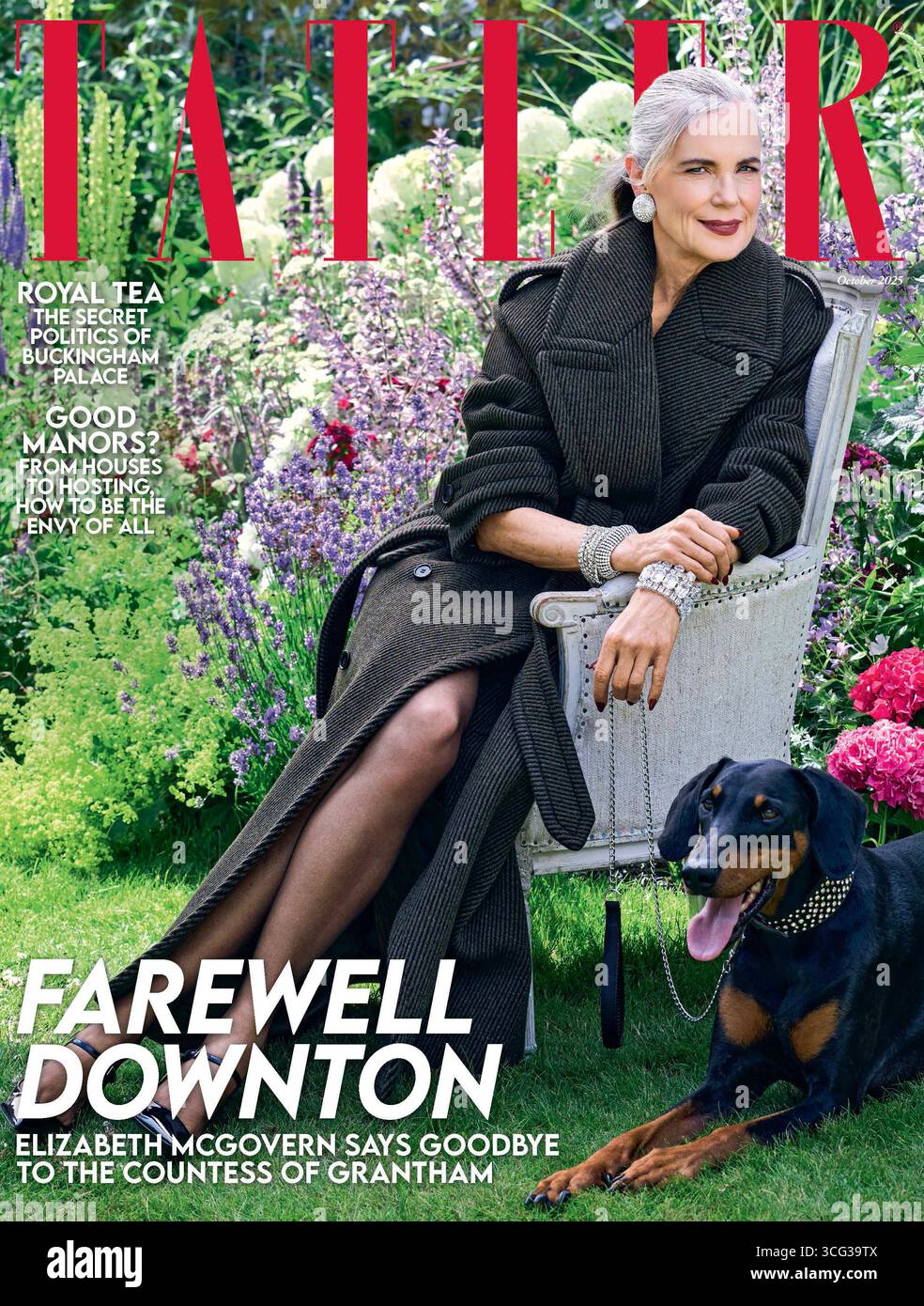 Inset pictures hi-res stock photography and images - Alamy