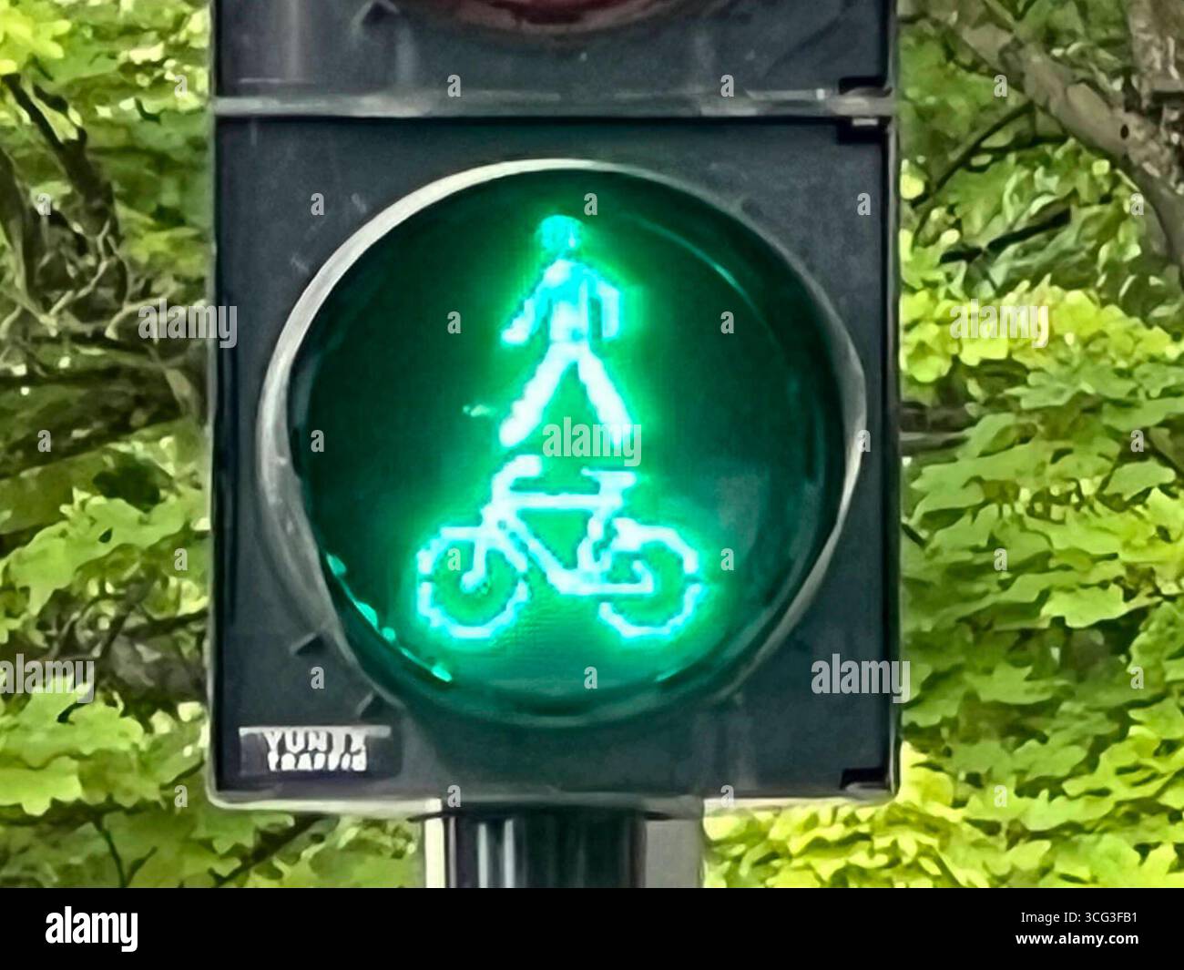 abb Verkehrsampel mit Lichtzeichenanlage zeigt gruenes Licht fuer ...