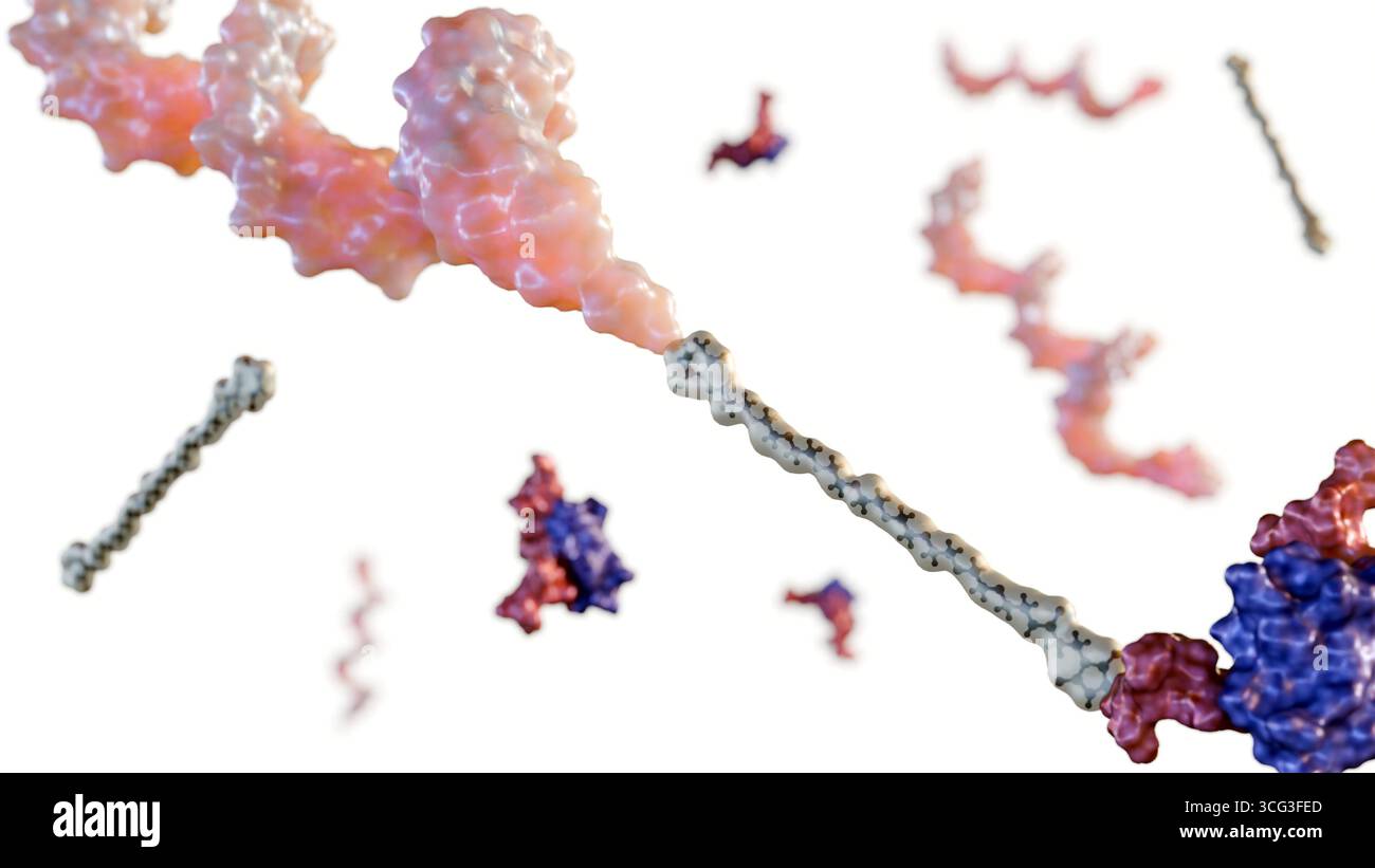 Hybrid dna Cut Out Stock Images & Pictures - Alamy