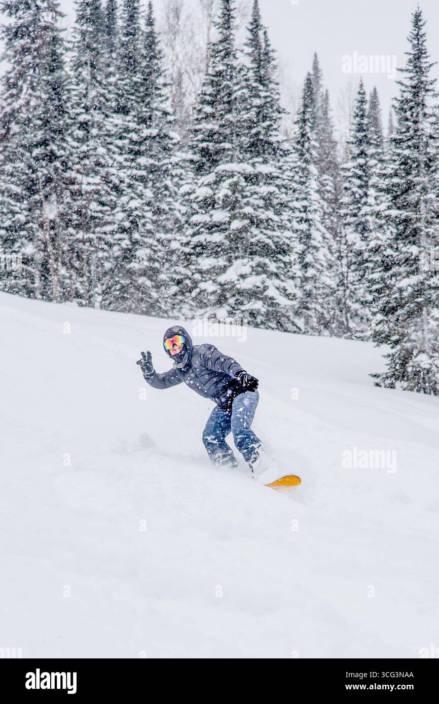 Sheregesh, Russia, 22 February 2017, Snowboarder skier sliding down ...