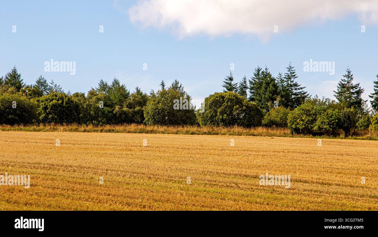 Dundee, Tayside, Scotland, UK. 26th Aug, 2025. UK Weather: Climate ...