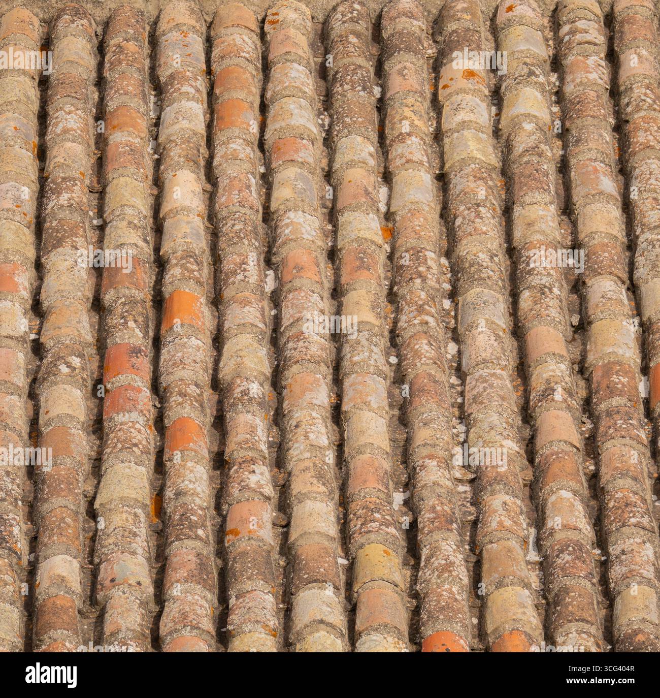 Closeup of traditional clay barrel roof tiles showing age, texture, and ...