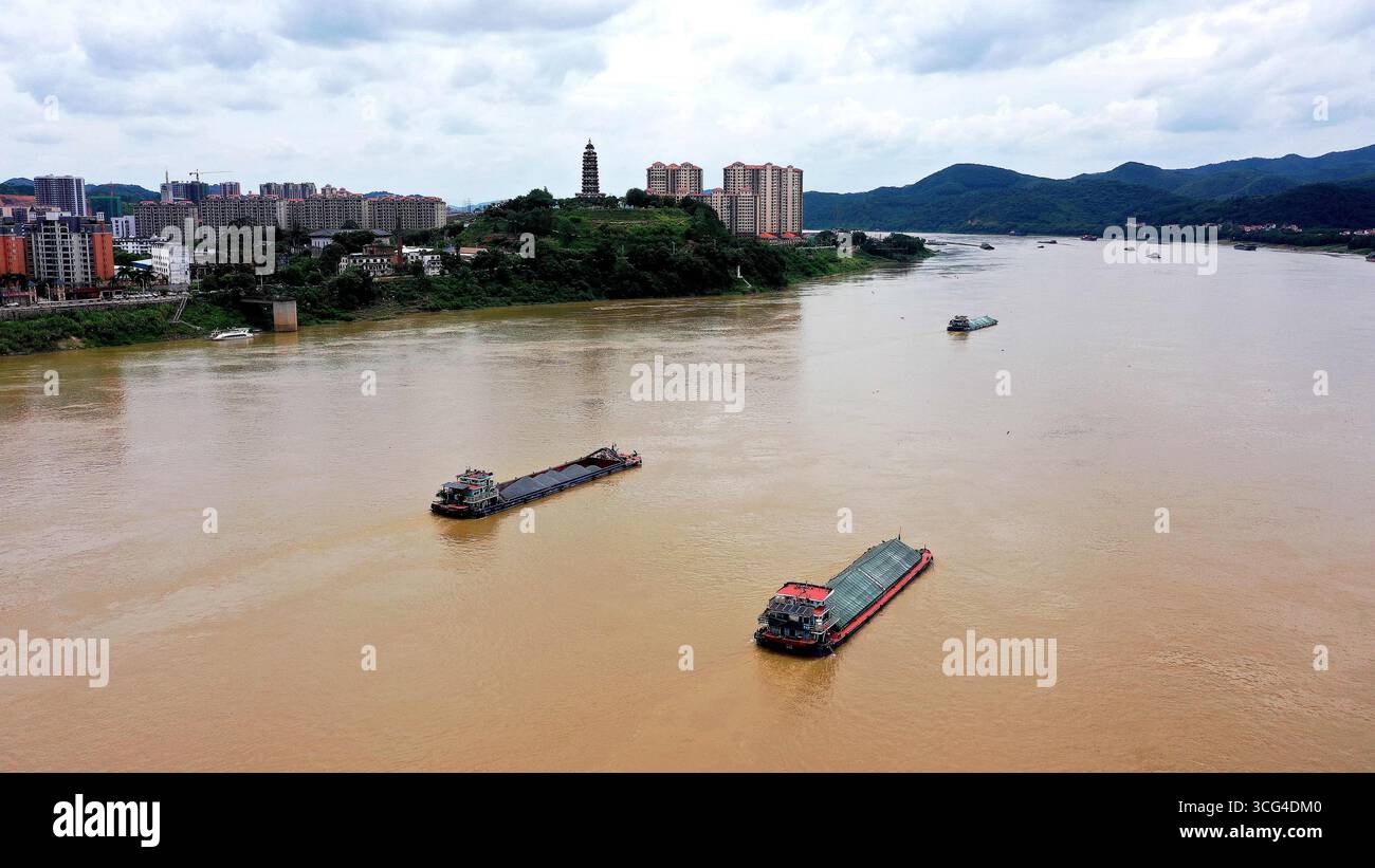 Cargo ships are shuttling along the section of the Xijiang Waterway in Fengkai County, Zhaoqing ...
