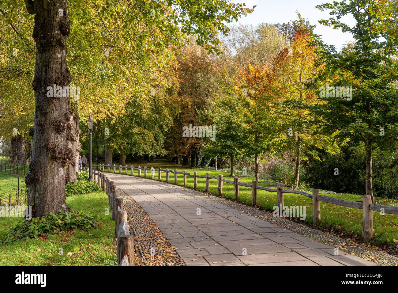 Cambridge, England. Walkways and gardens of King's College with autumn ...