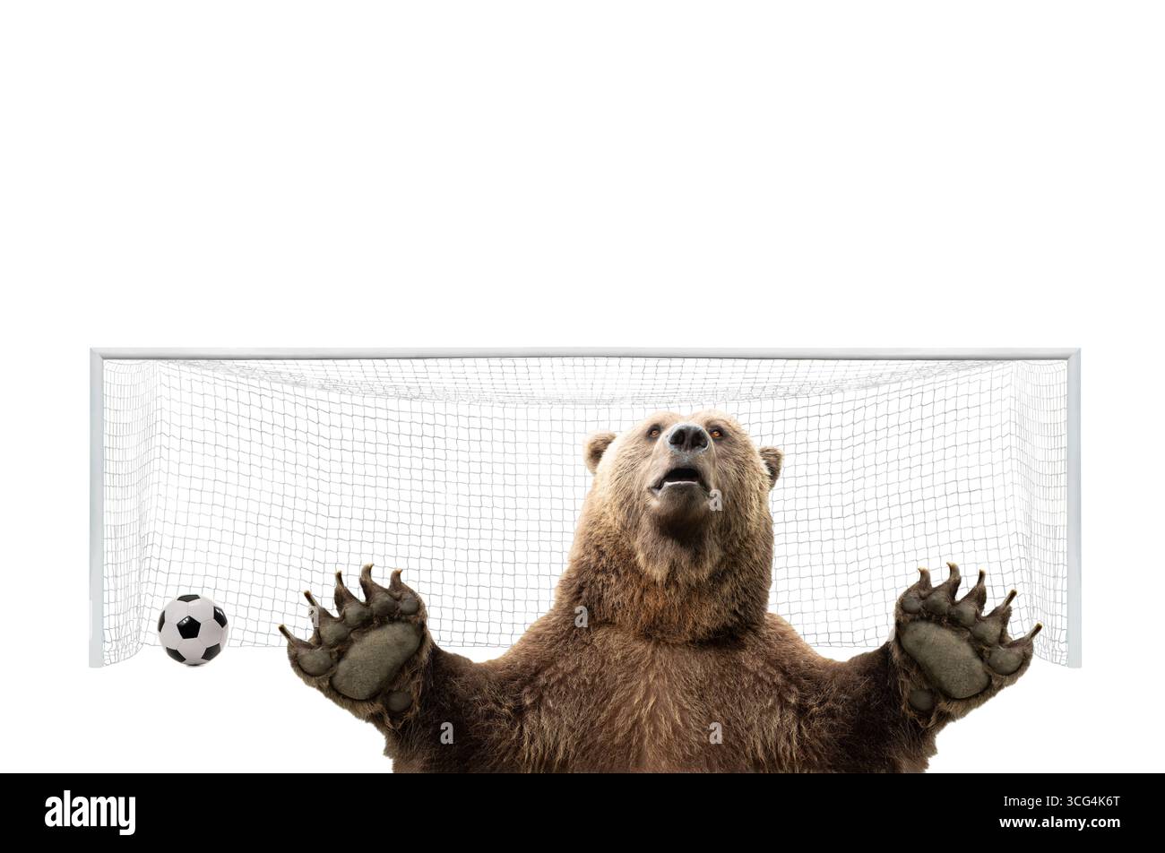 Bear standing on goal as a symbol of bad goalkeeper in football on ...