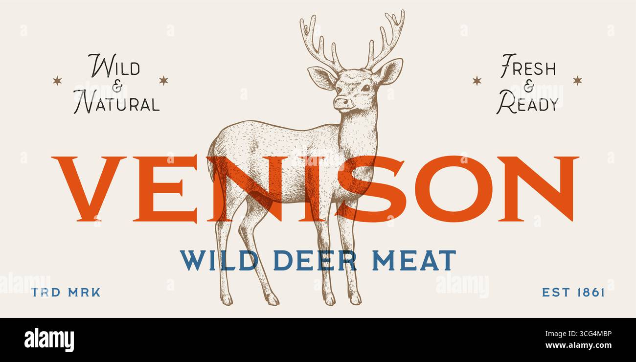 Stag drawn Stock Vector Images - Alamy