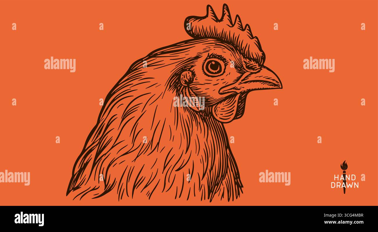 Chicken, farm hen sketch Stock Vector Image & Art - Alamy