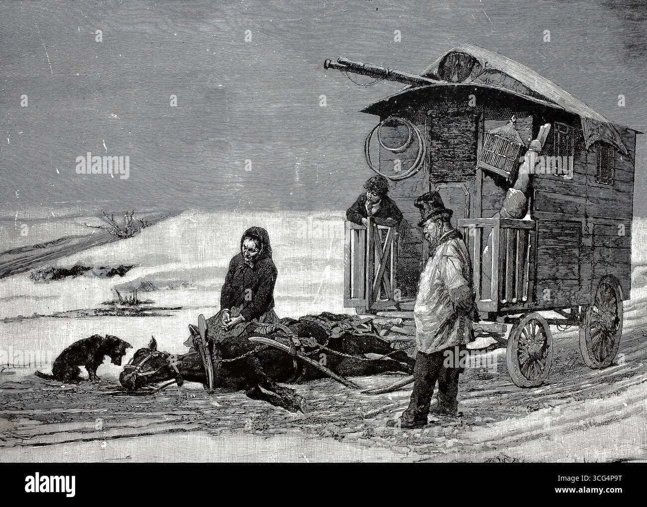 The last steps of the horse that collapsed in front of the carriage and ...