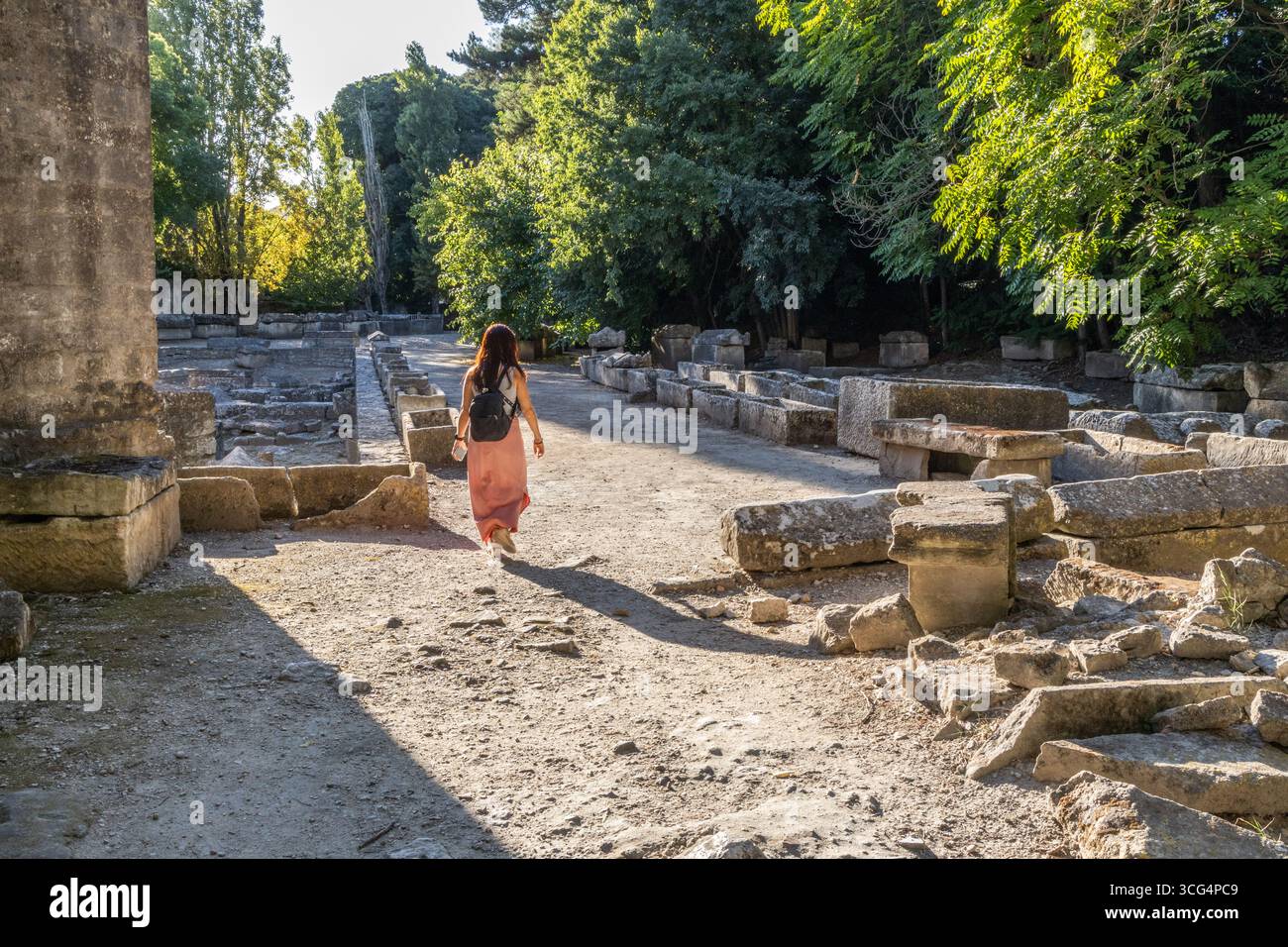 The Alyscamps Roman necropolis in Arles, Provence, France Stock Photo ...
