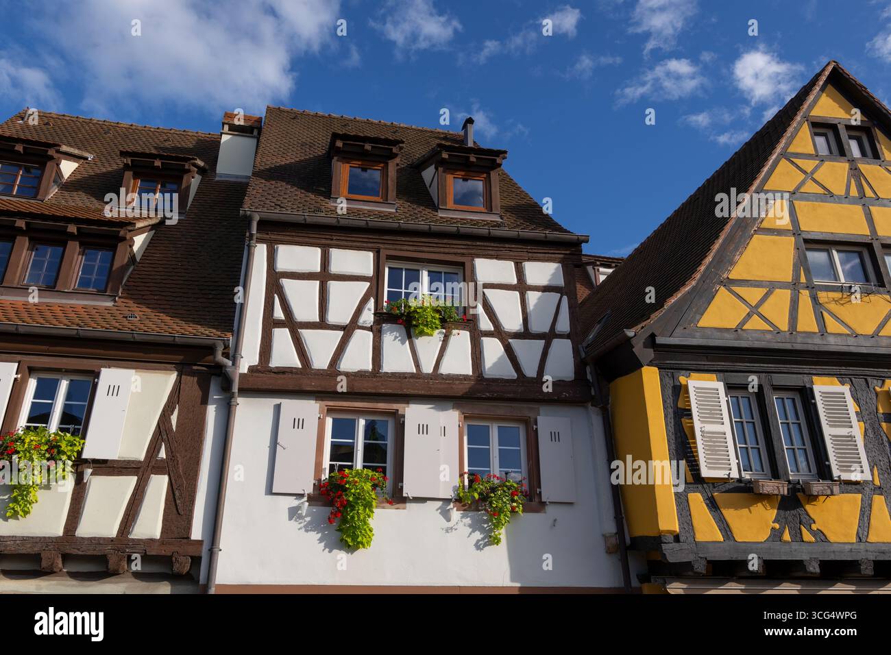 Half-timbered traditional houses in Old Town of Colmar city in Alsace ...