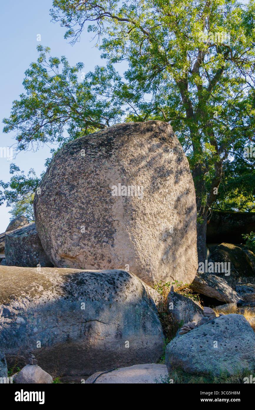 A large boulder stands upright beneath a lush tree, with sunlight ...