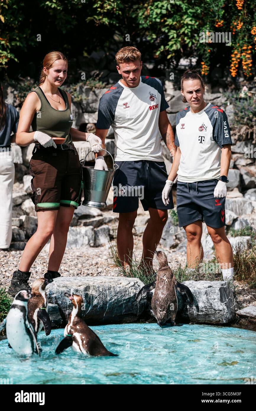 Sebastian Sebulonsen (1.FC K?ln) und D?ra Zeller (1. FC K?ln) beim 1.FC ...