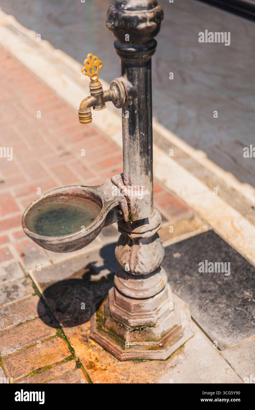The antique water fountain stands proudly on a brick walkway, with ...