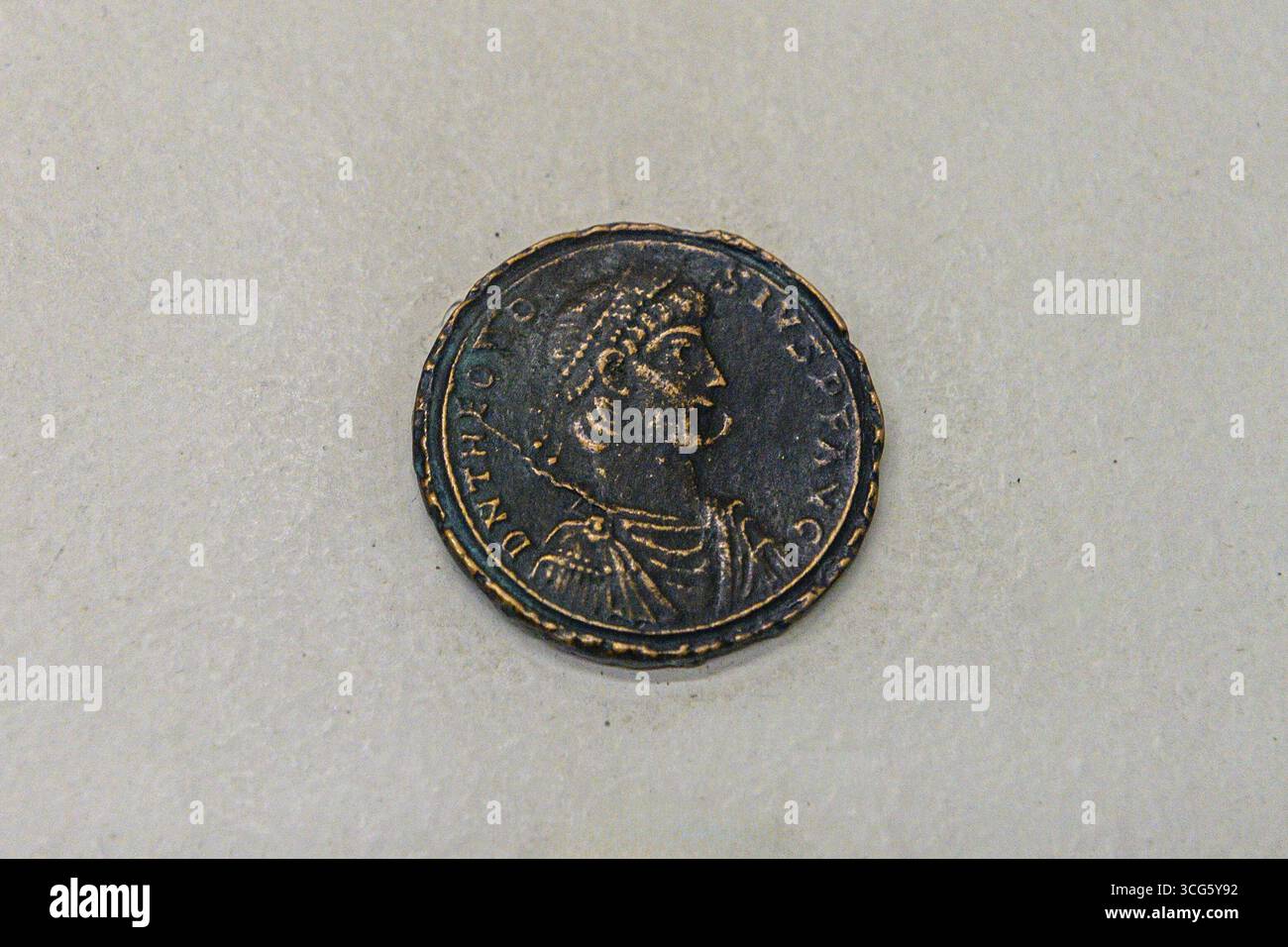 Emperorhead hi-res stock photography and images - Alamy