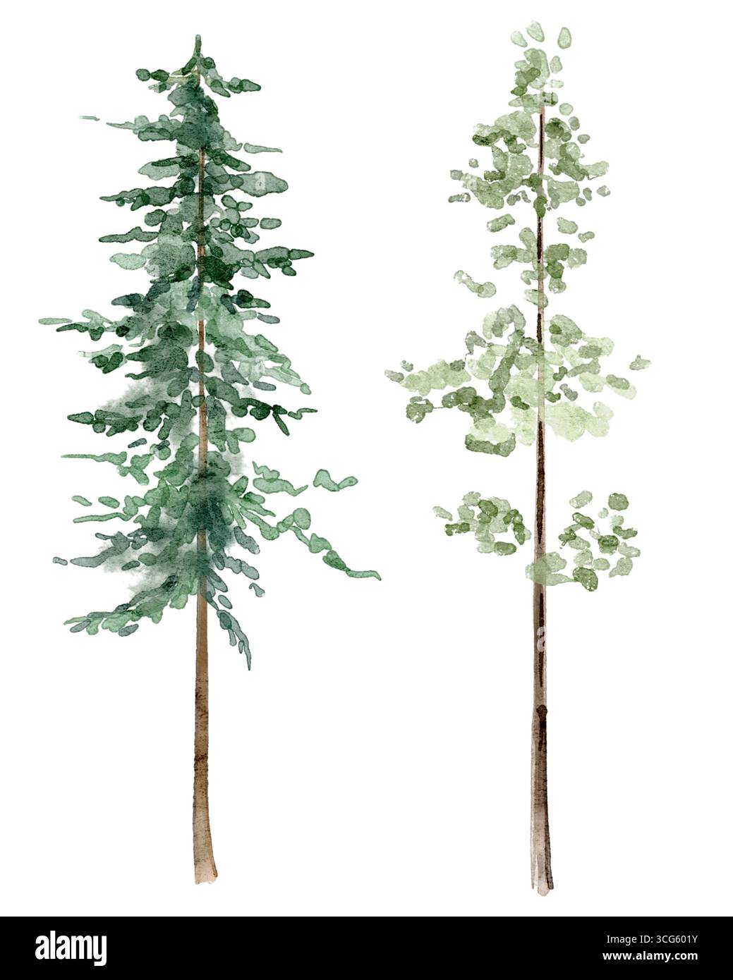 Illustrated tall Cut Out Stock Images & Pictures - Alamy