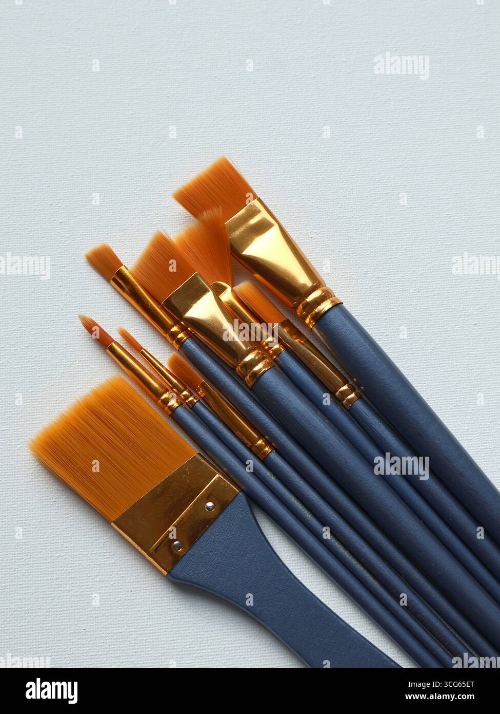 Set of Blue Handled Paint Brushes on Blank Canvas Surface. A collection ...
