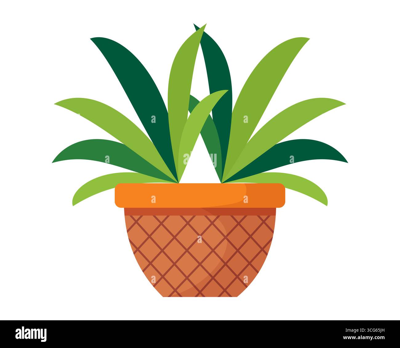 Houseplant leaves foliage home Stock Vector Images - Alamy