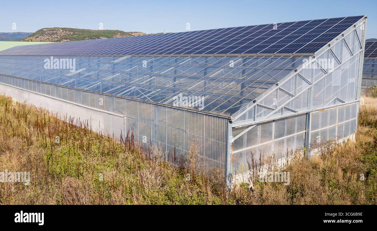 Aerial view of modern solar greenhouses with photovoltaic panels on ...