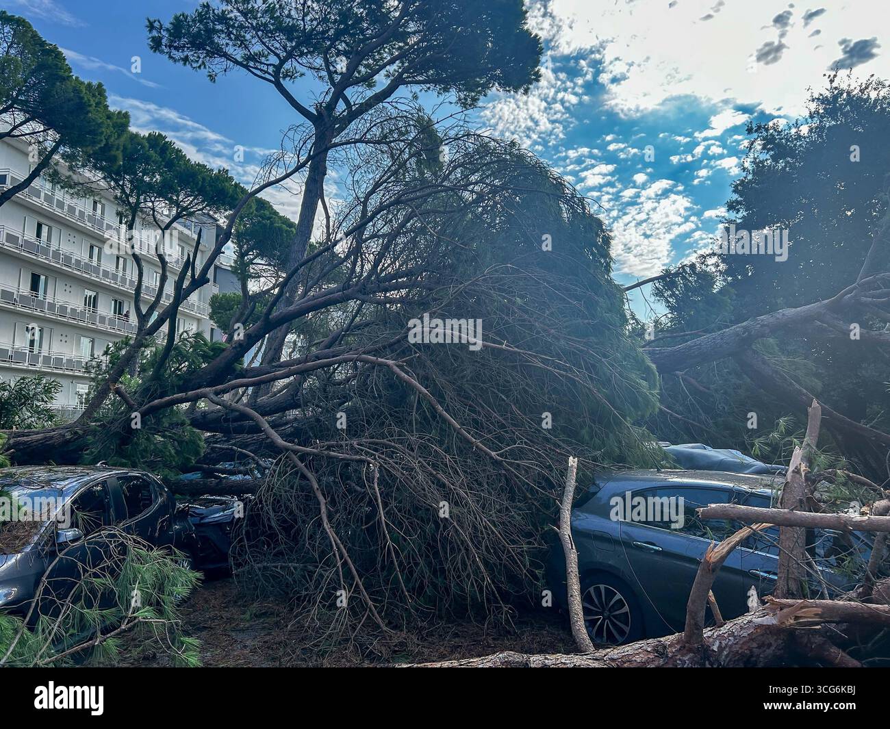 Milano Marittima, Riviera Romagnola, damage caused by bad weather ...