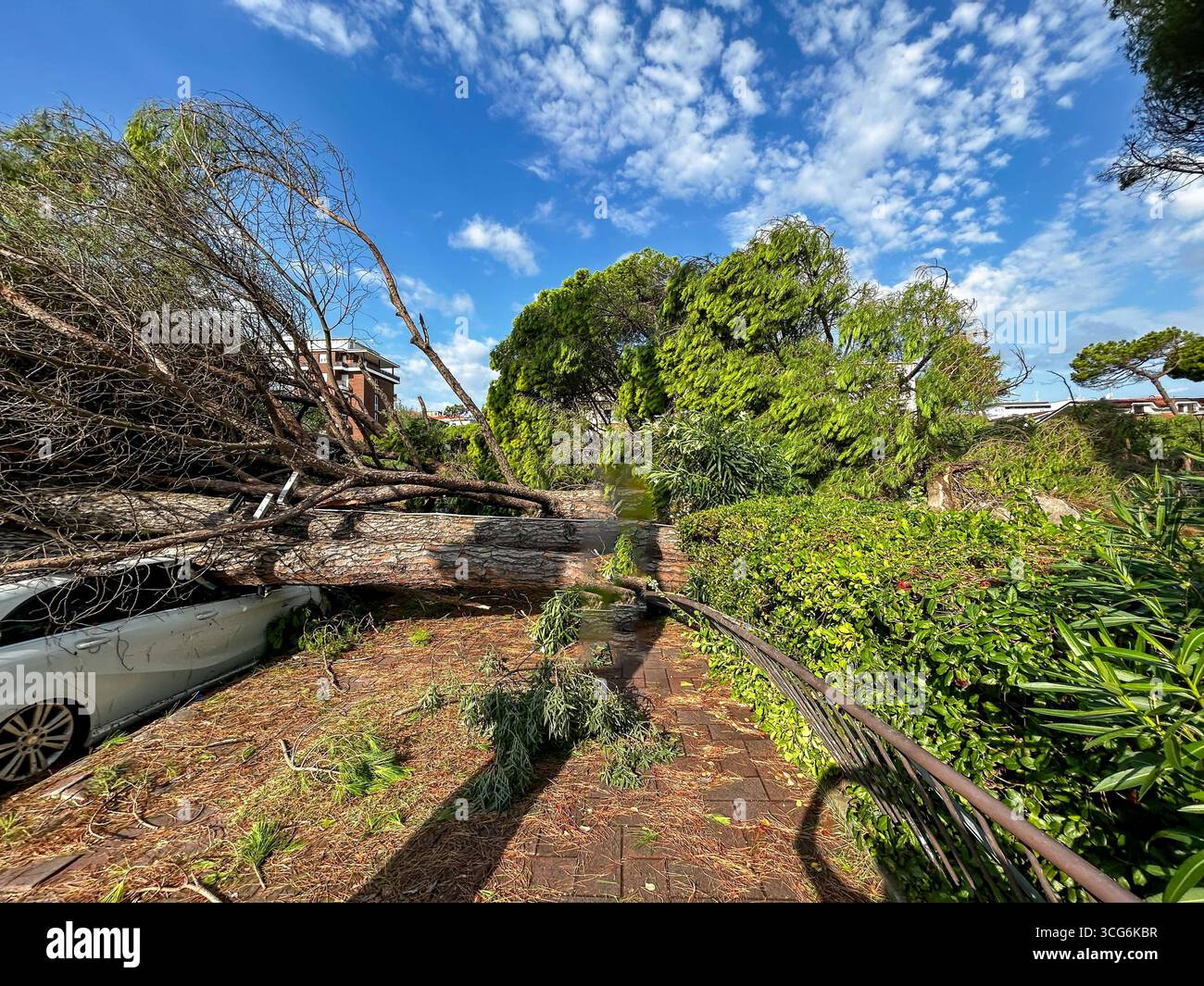 Milano Marittima, Riviera Romagnola, damage caused by bad weather ...