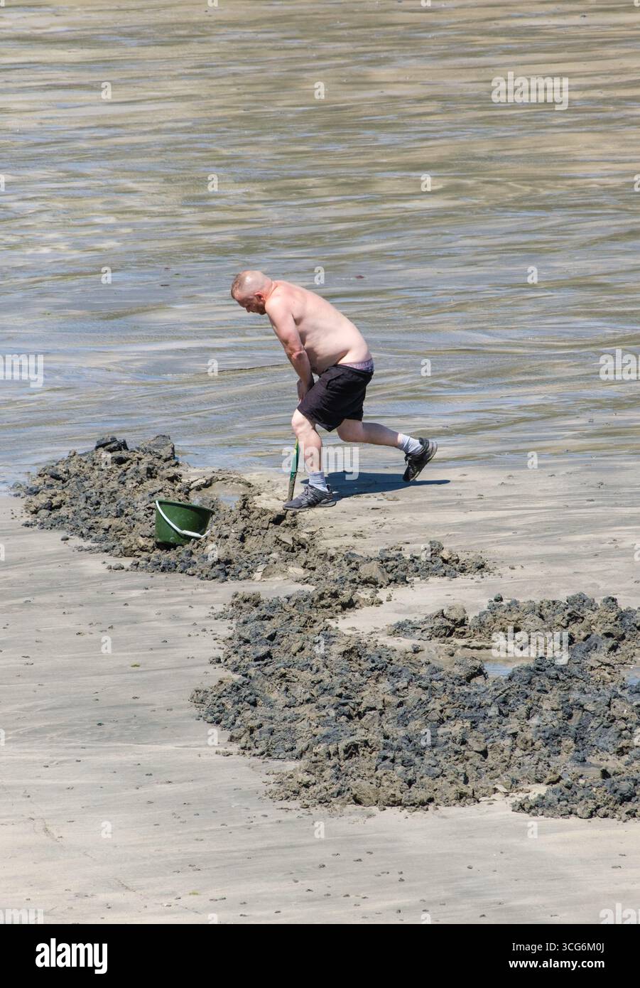 Cornwall, England, U.K. South West Coast Path, Digging for Clams on ...