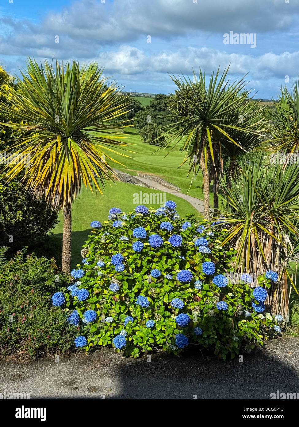 Bowood park hotel golf course hi-res stock photography and images - Alamy
