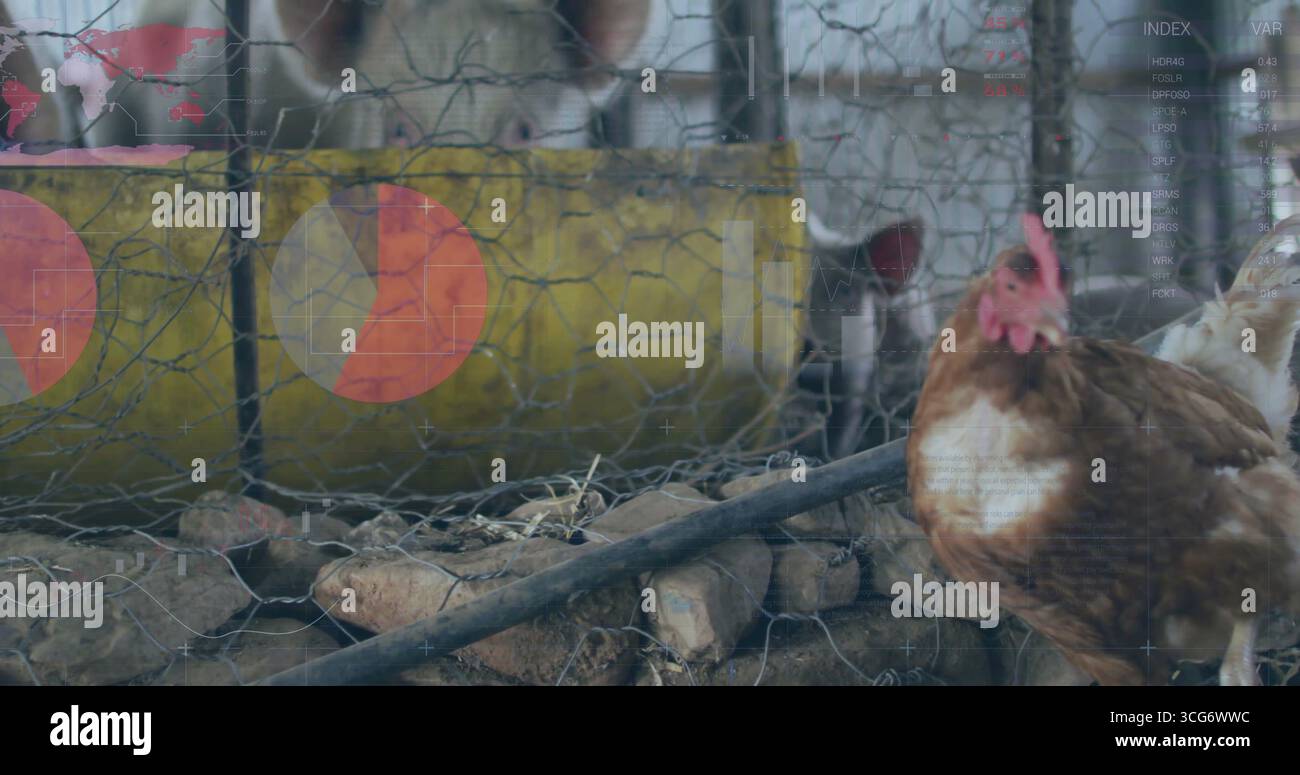 Pecking brown hen behind wire mesh fence in farm enclosure, with feeder ...