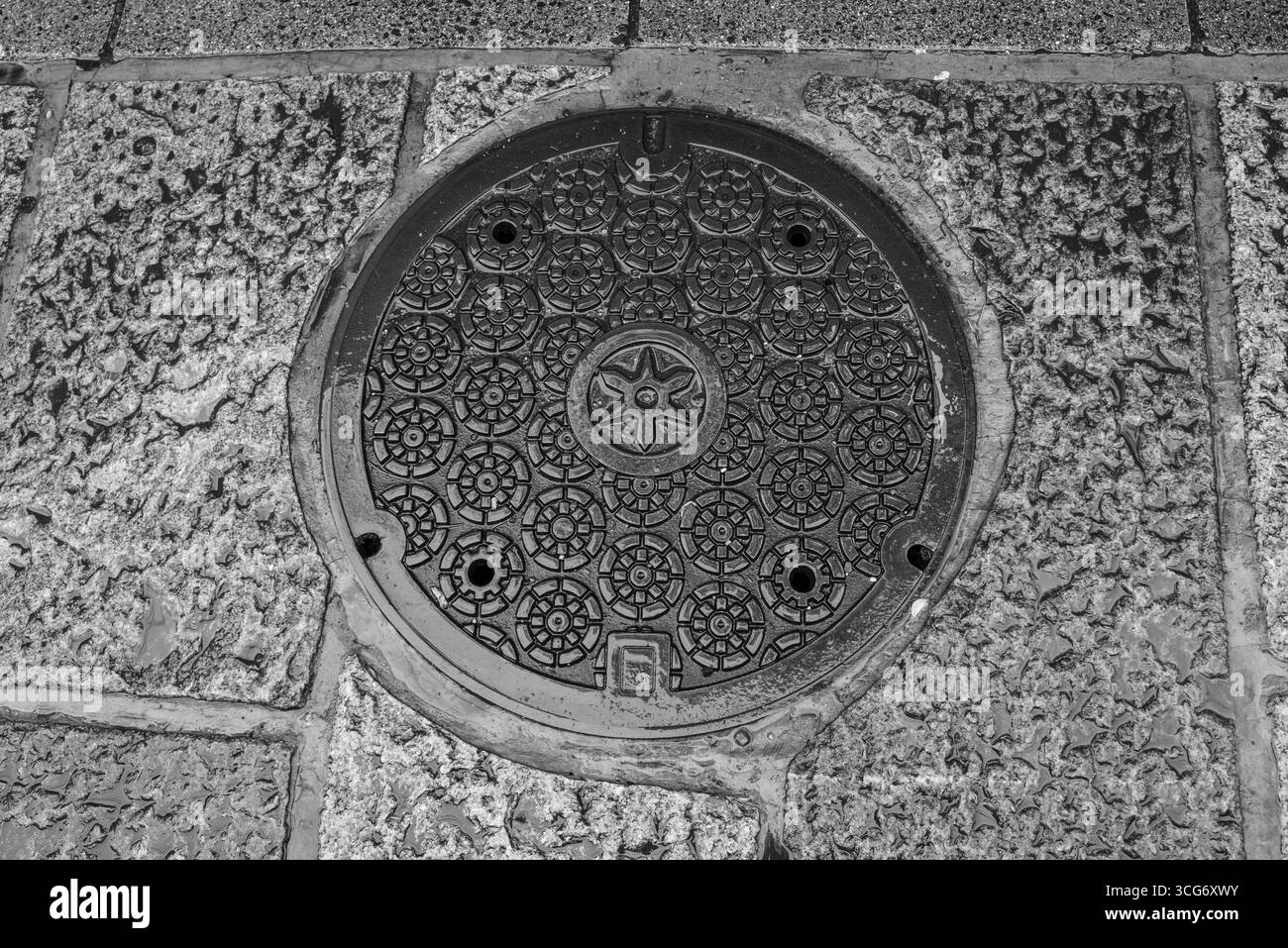 Close-up of a metal manhole cover with intricate design set in paved ...
