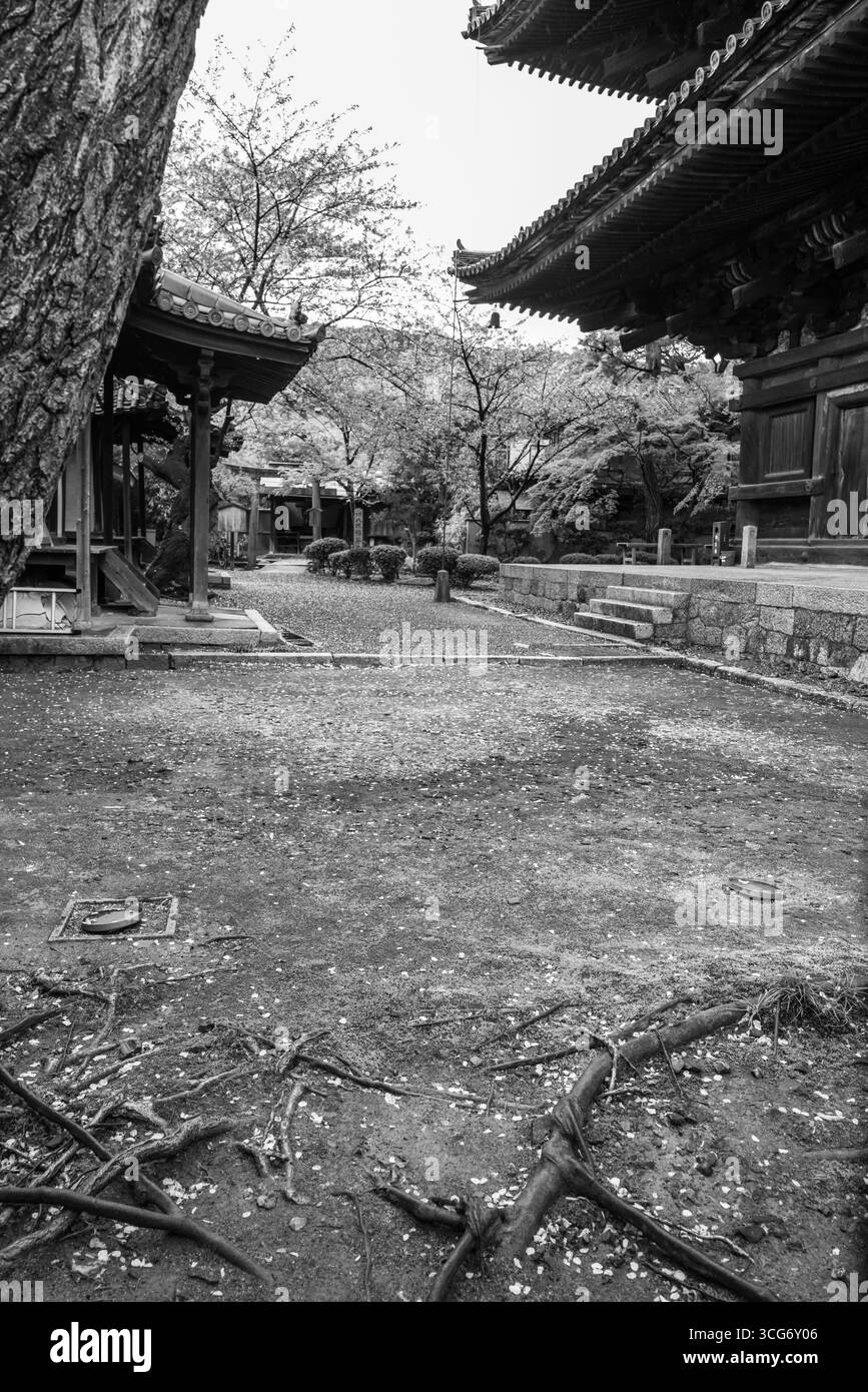 Tranquil landscape depicting Black and White Stock Photos & Images - Alamy