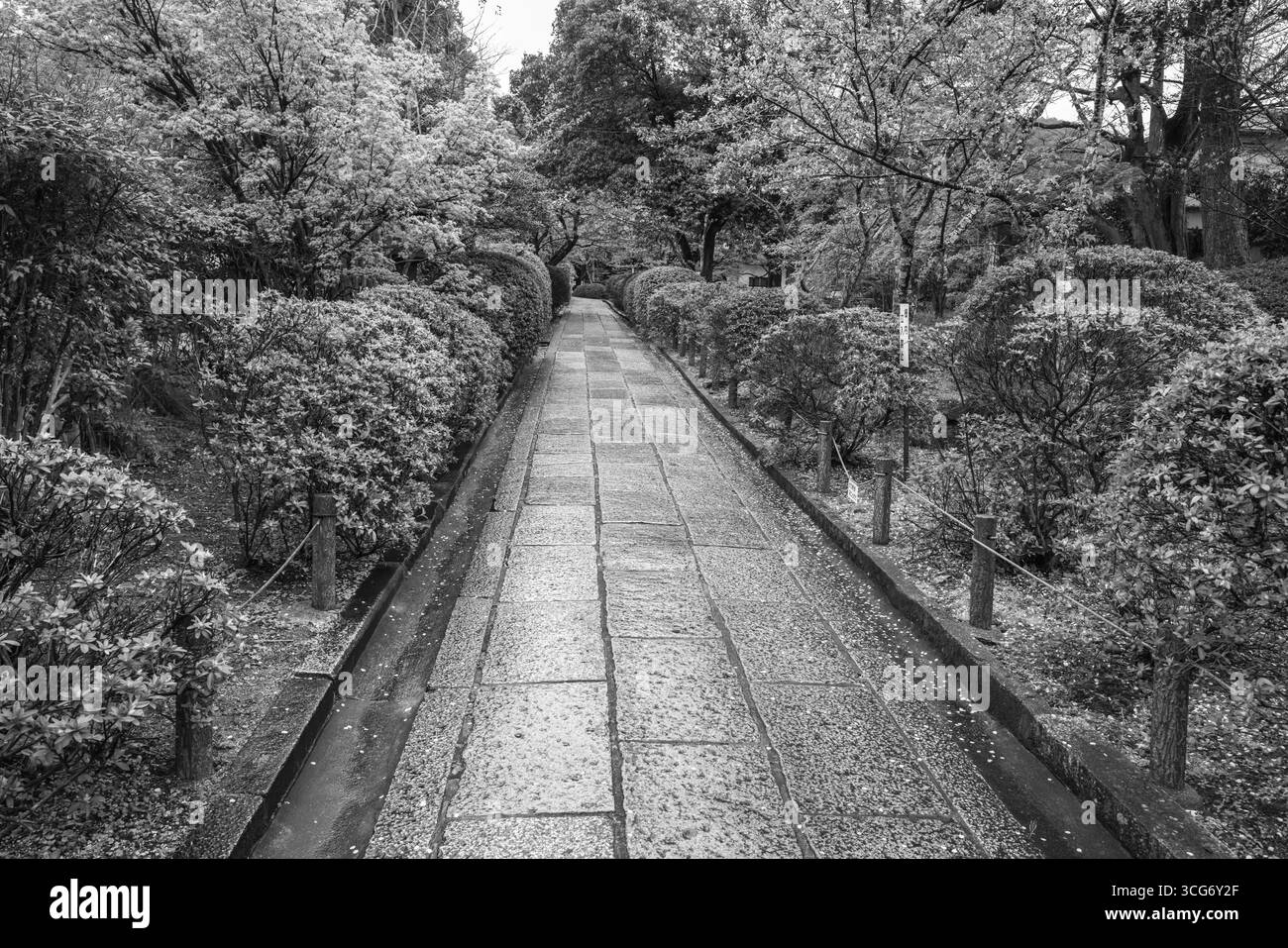 Serene garden pathway Black and White Stock Photos & Images - Alamy