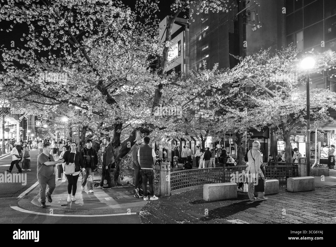 Vibrant park atmosphere Black and White Stock Photos & Images - Alamy