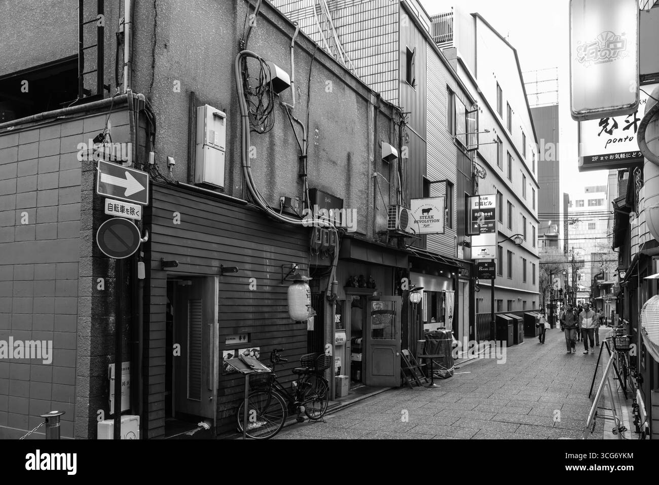 Monochromatic view traditional japanese hi-res stock photography and ...
