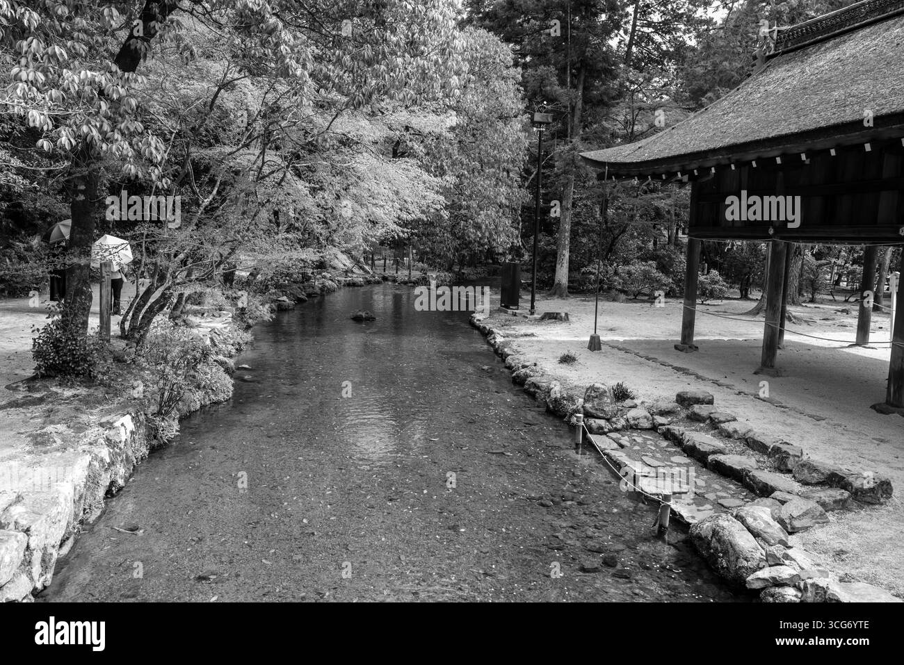 Serene black-and-white photograph of Mimoi-gawa River, Kamigamo Shrine ...