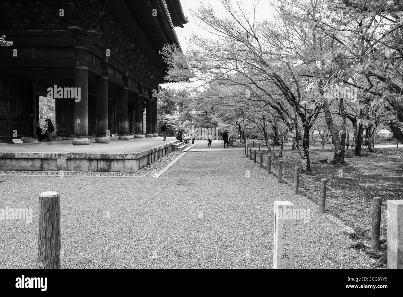 Pathway ambiance Black and White Stock Photos & Images - Alamy