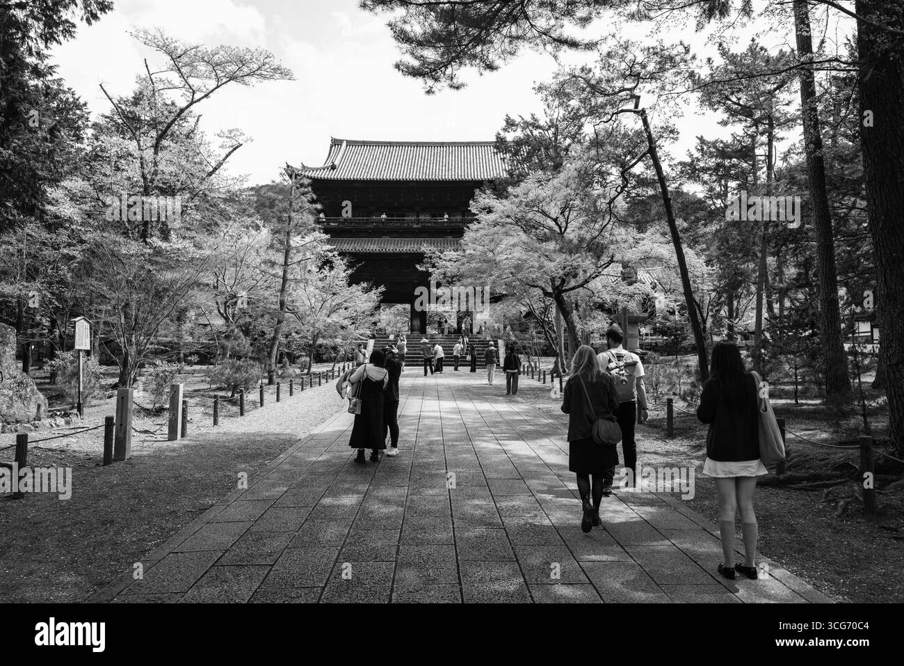Pathway leading traditional japanese Black and White Stock Photos ...
