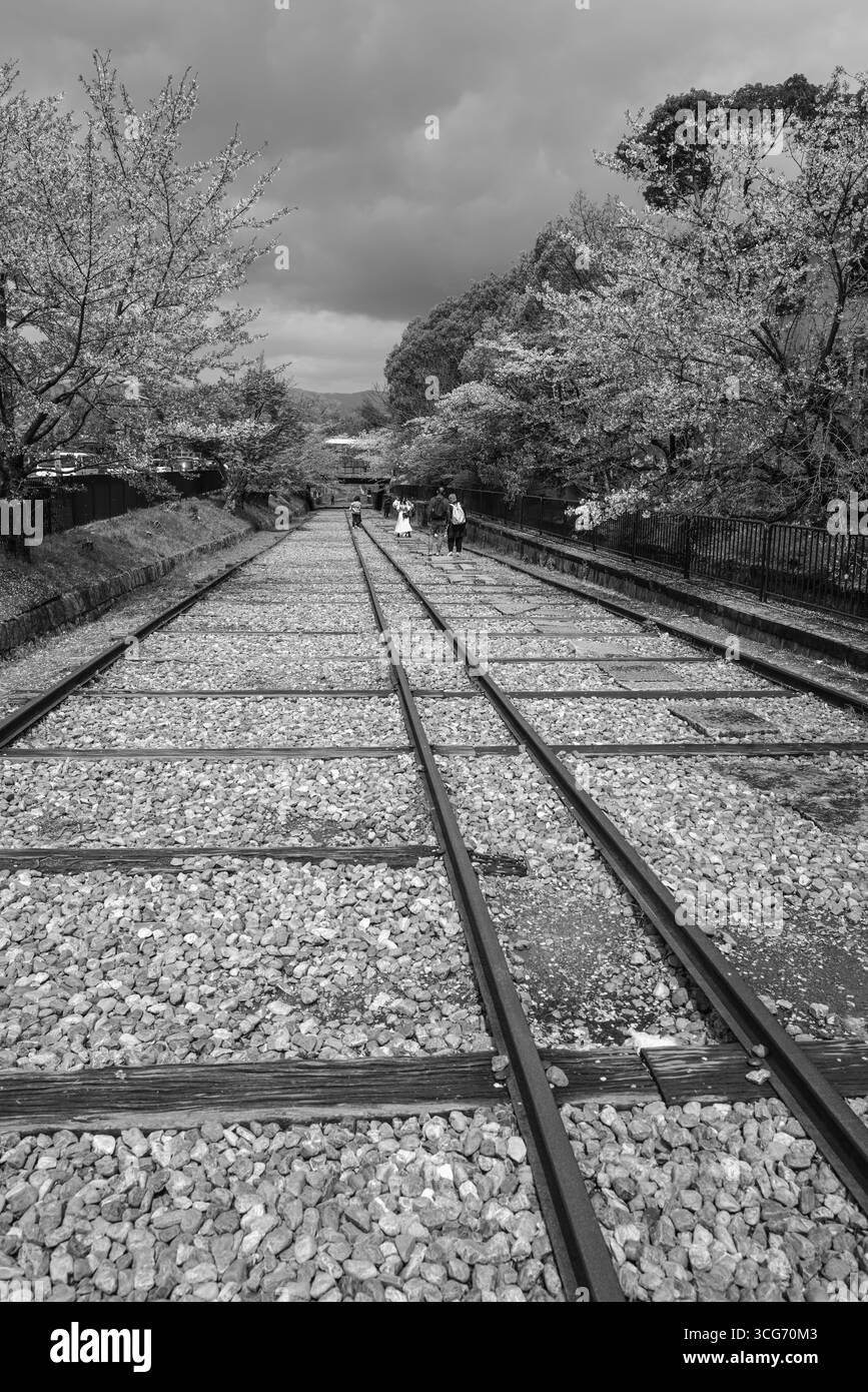 Old train tracks surrounded Black and White Stock Photos & Images - Alamy