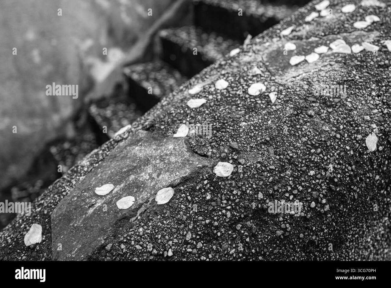 Scattered abstract shapes Black and White Stock Photos & Images - Alamy