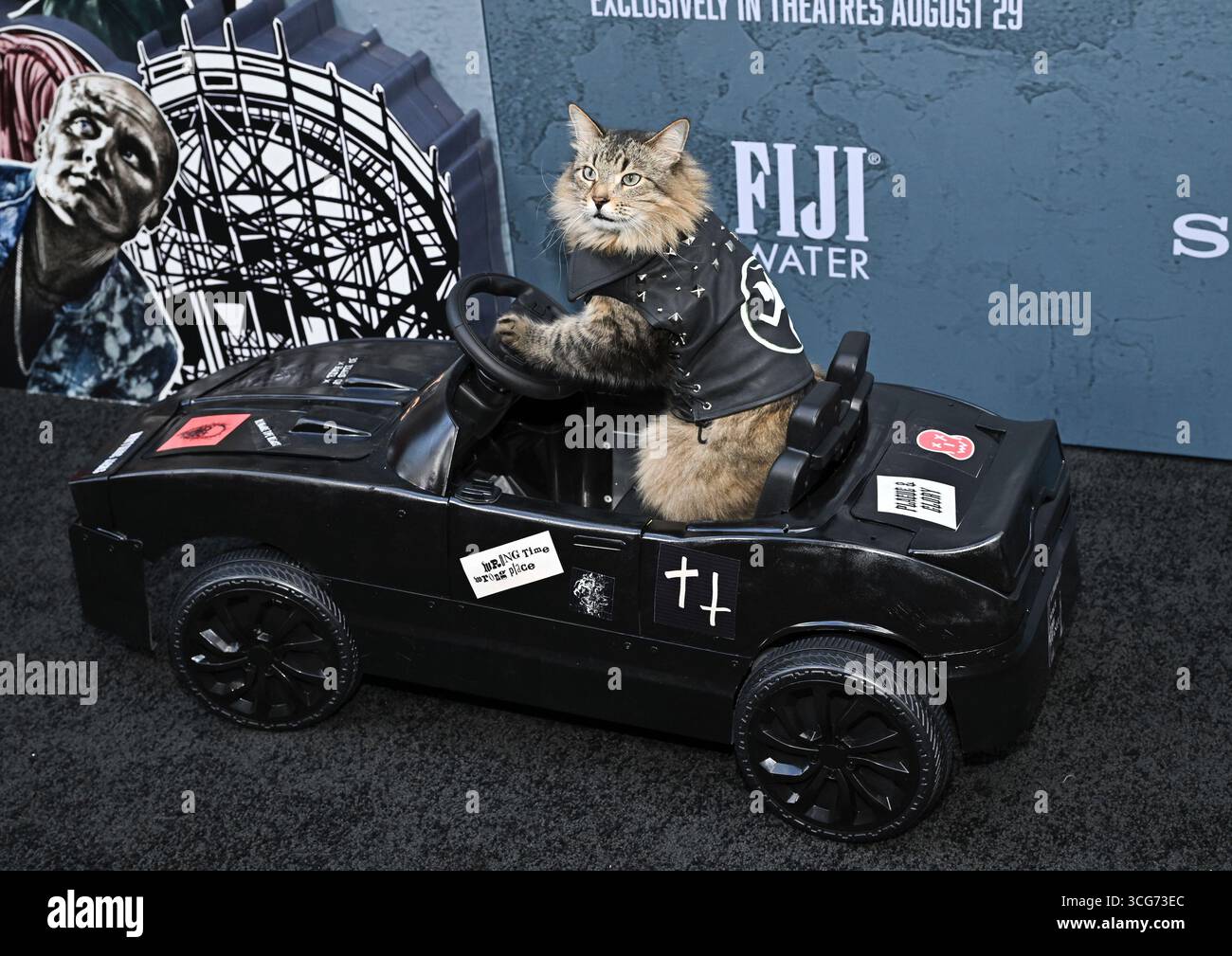 Tonic the cat attends the premiere of "Caught Stealing" at Regal Union Square on Tuesday, Aug ...