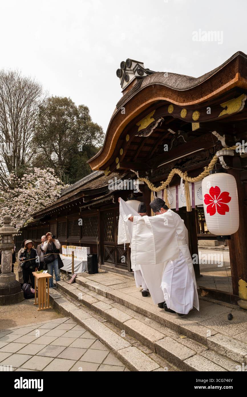 Shinto priests performing religious rite during the Oukasai Cherry ...