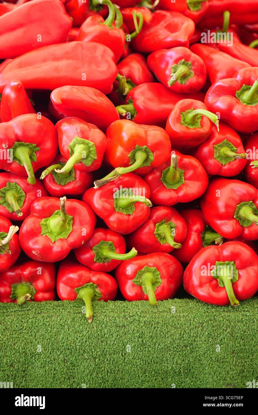 Fresh red bell peppers stacked at a local market Stock Photo - Alamy