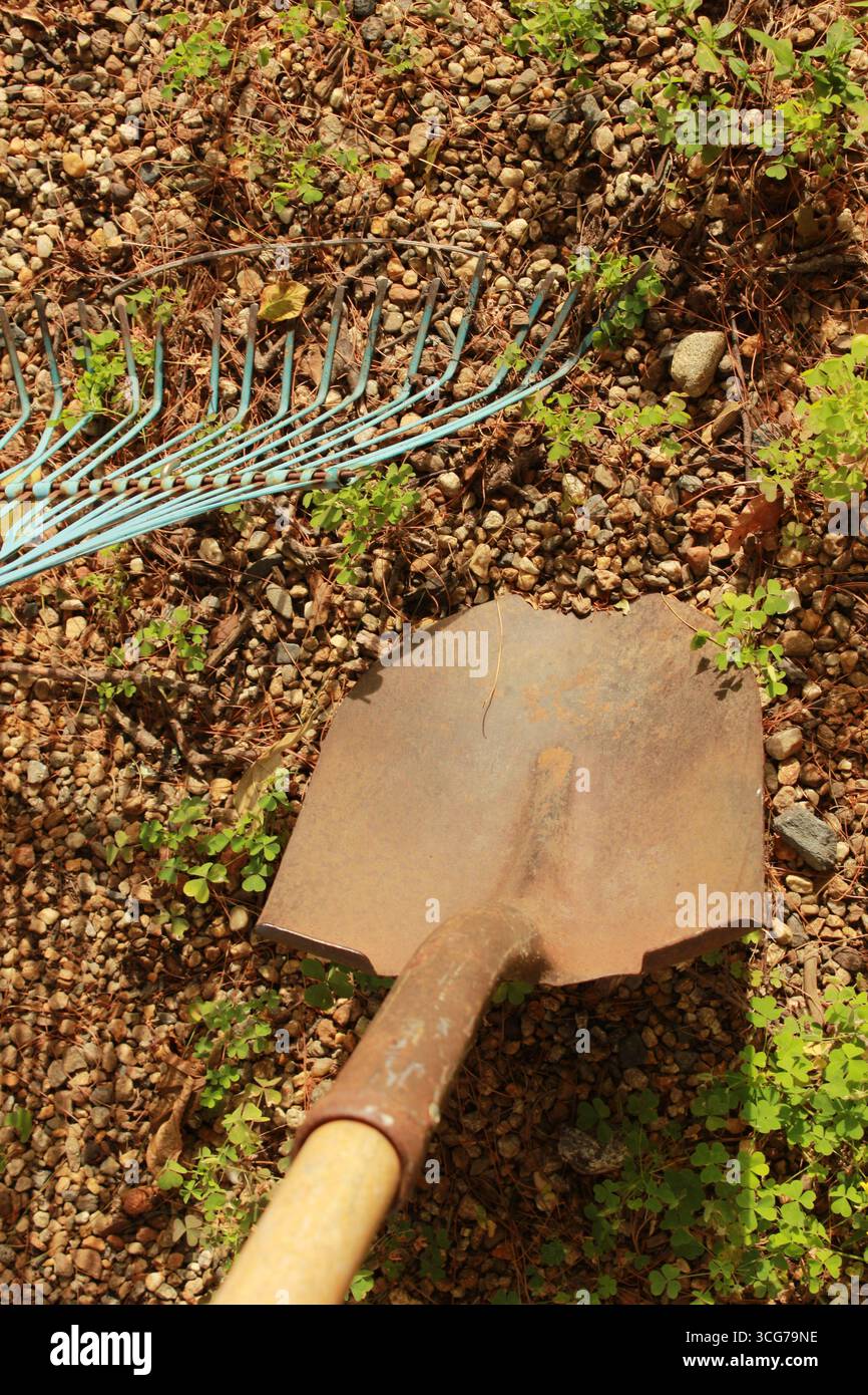 Top view of garden tools hi-res stock photography and images - Alamy