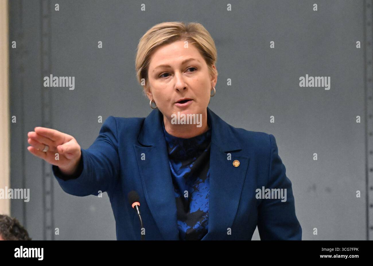Queensland Minister for Families, Seniors and Disability Services and ...
