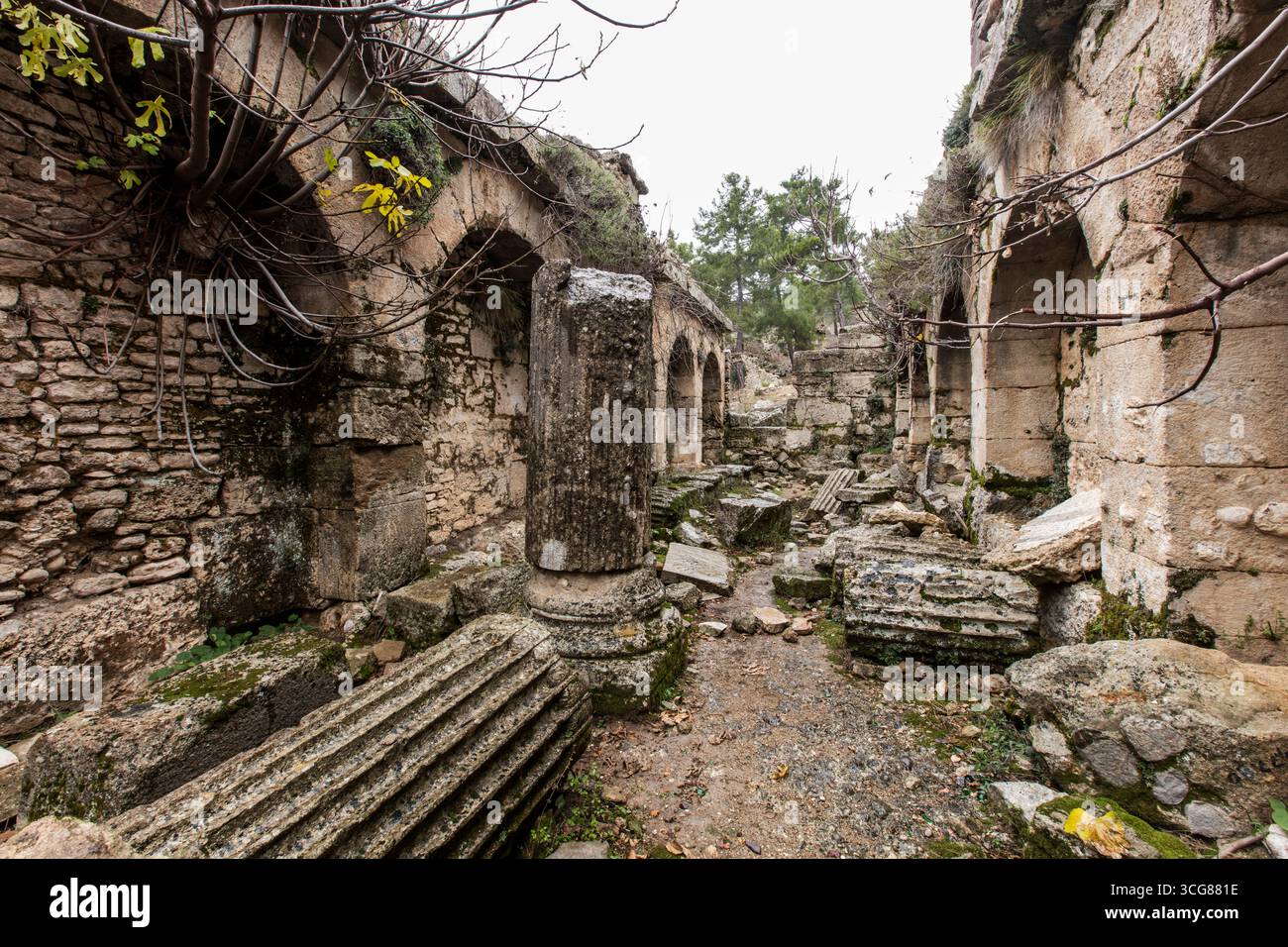 The fine remains of the town of Seleucia (also known as Seleukia Stock ...