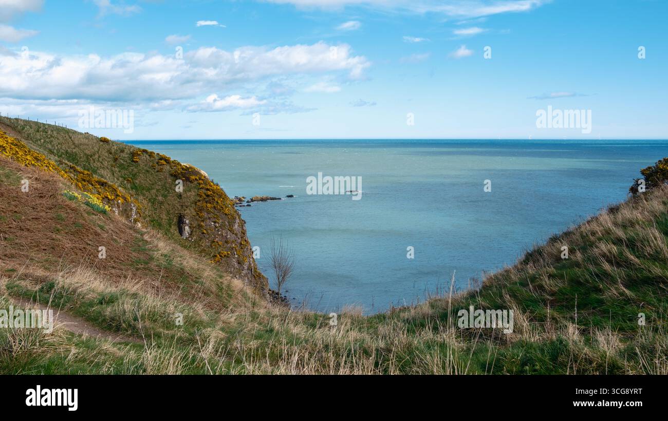 Windswept grassy cliffs sea hi-res stock photography and images - Alamy