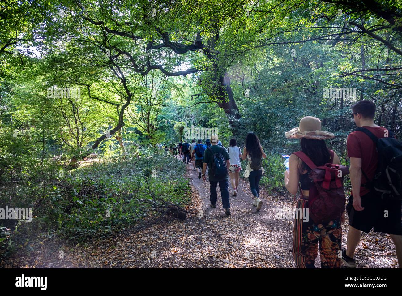 People hiking in Epping Forest, is a 2,400-hectare area of ancient ...