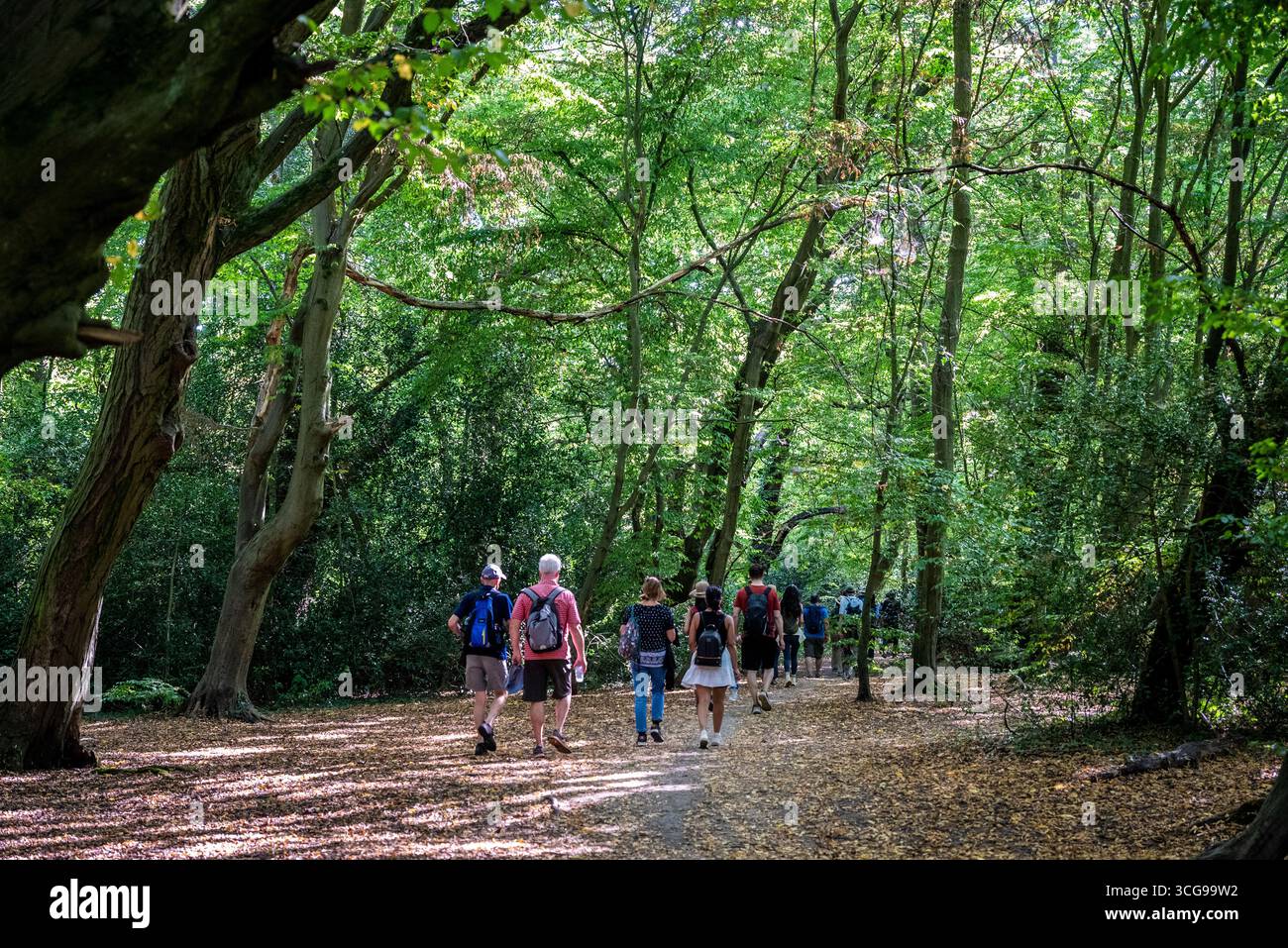People hiking in Epping Forest, is a 2,400-hectare area of ancient ...
