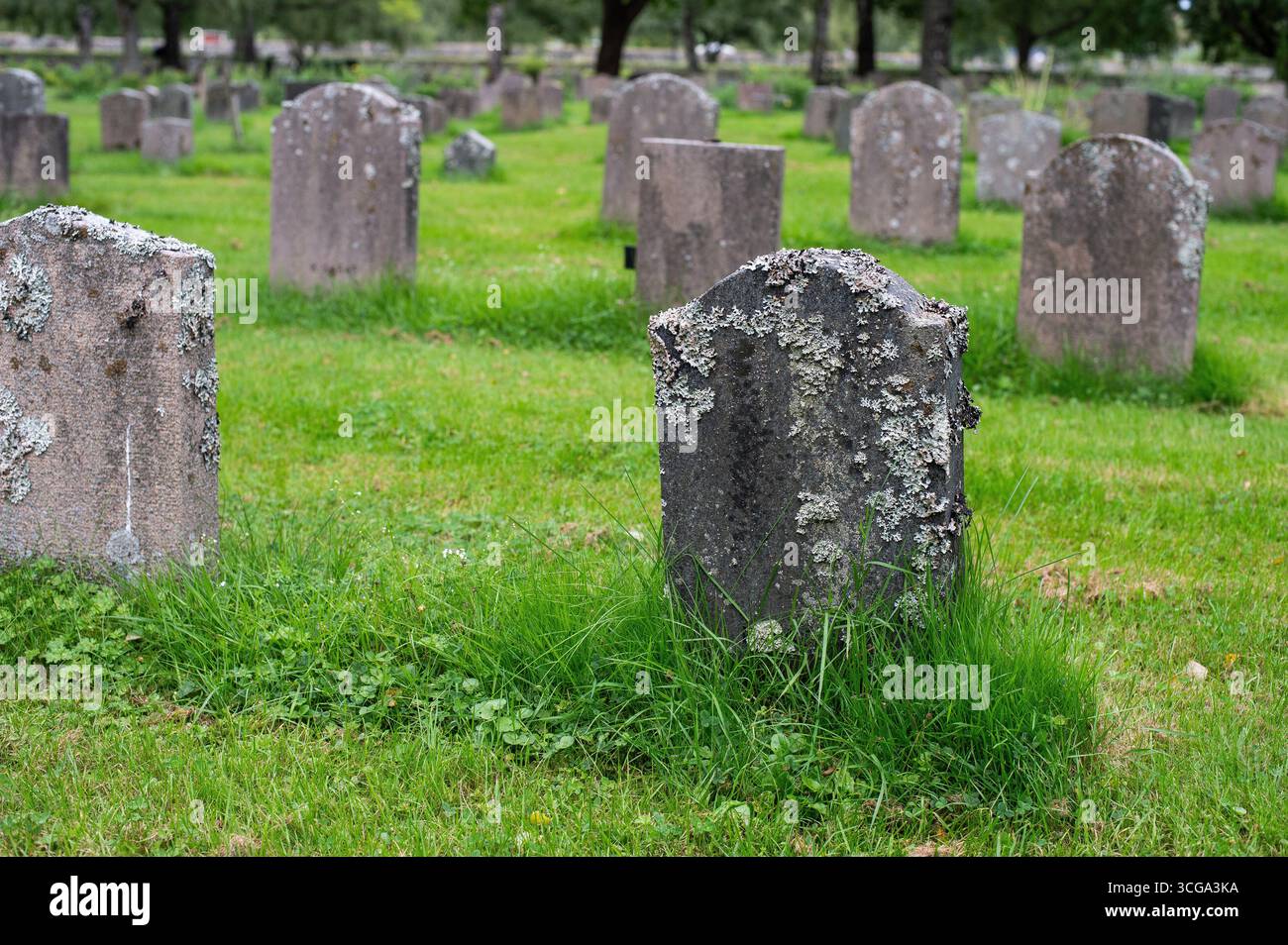 View of the Skogskyrkogarden Cemetery from 1915, declared a World ...